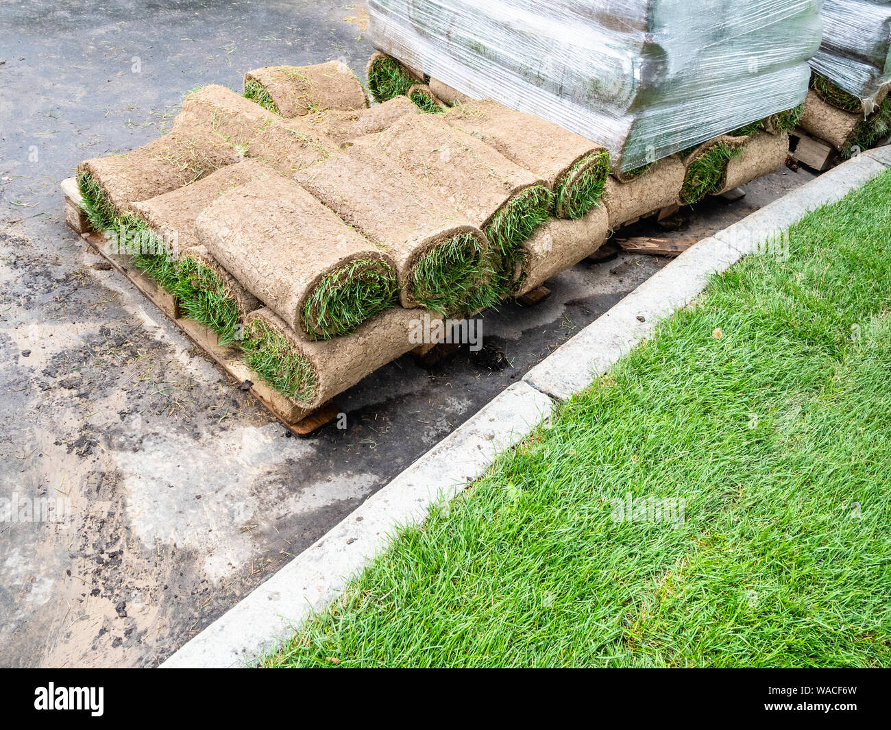 prepared stacks of turf for laying new lawn in city park Stock Photo ...