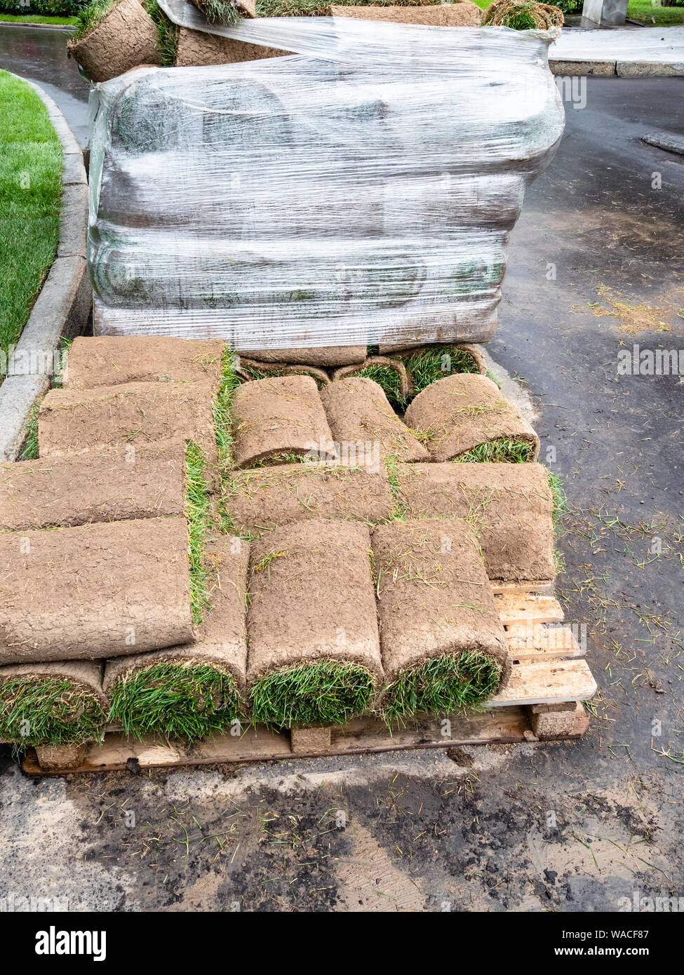 prepared stacks with rolls of turf for laying new lawn in city park ...