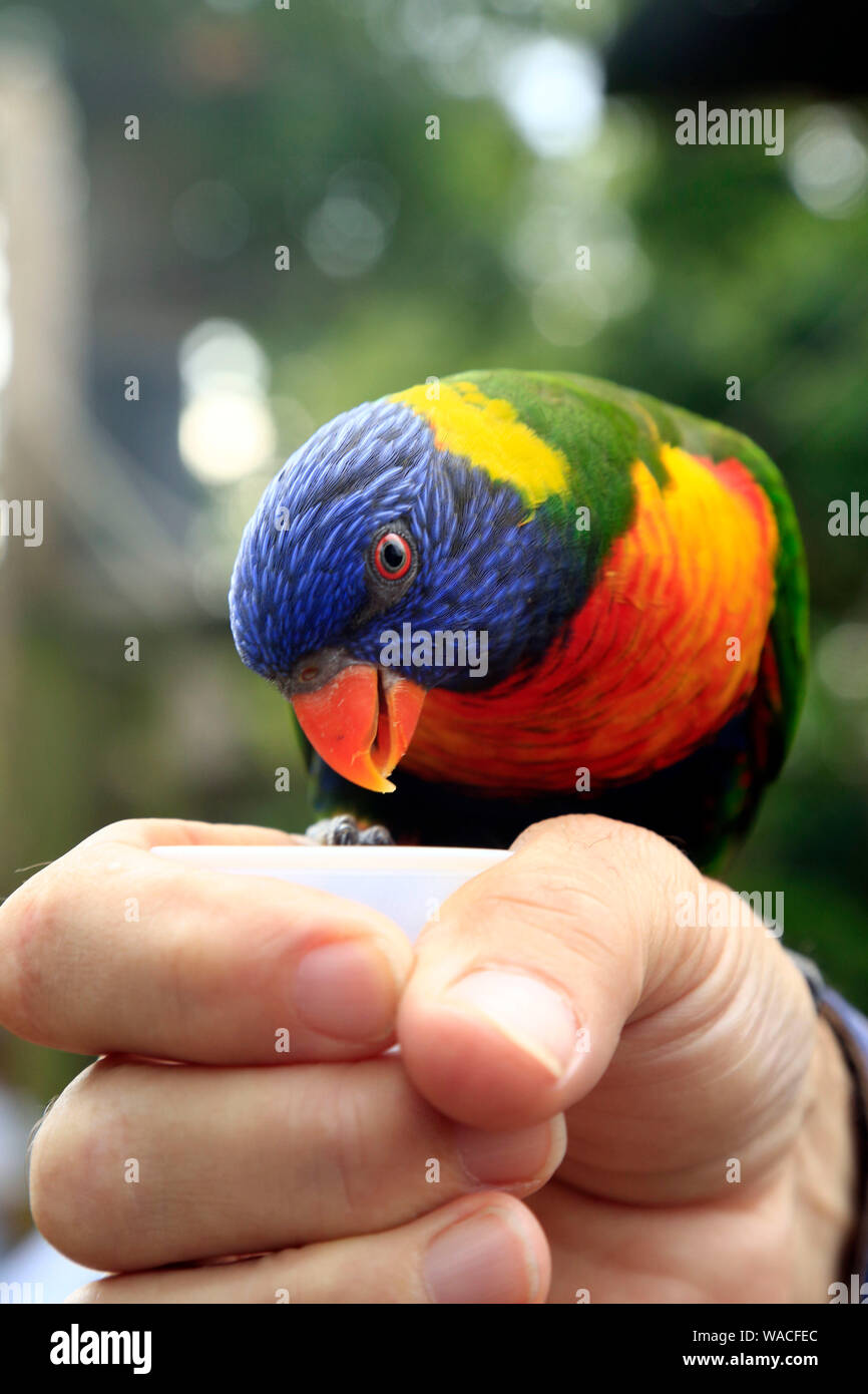 Longleat Safari Park Stock Photo - Alamy