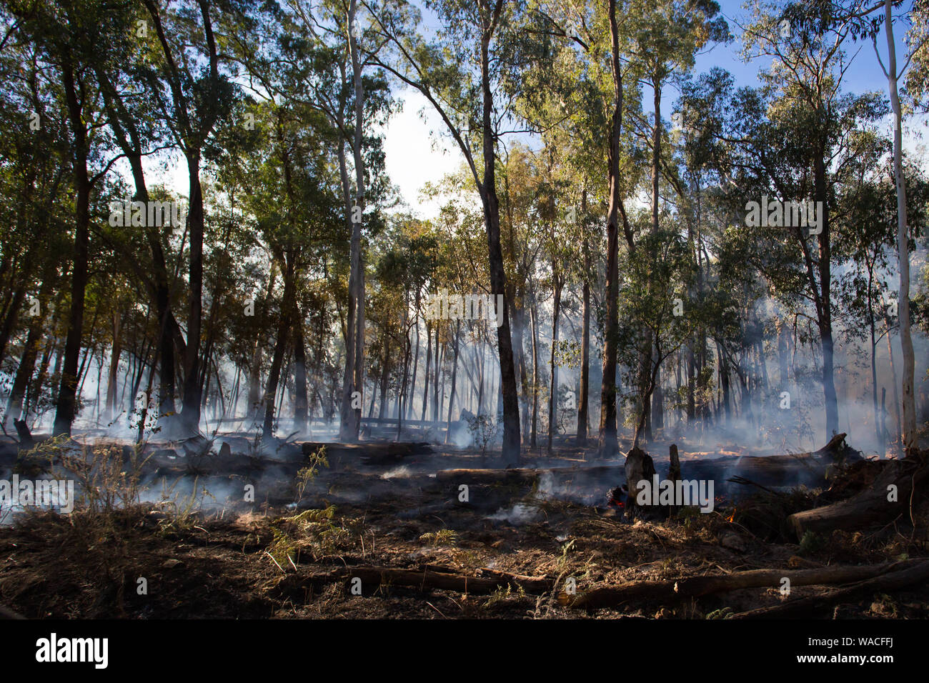 Controlled Fire Burn Stock Photo - Alamy