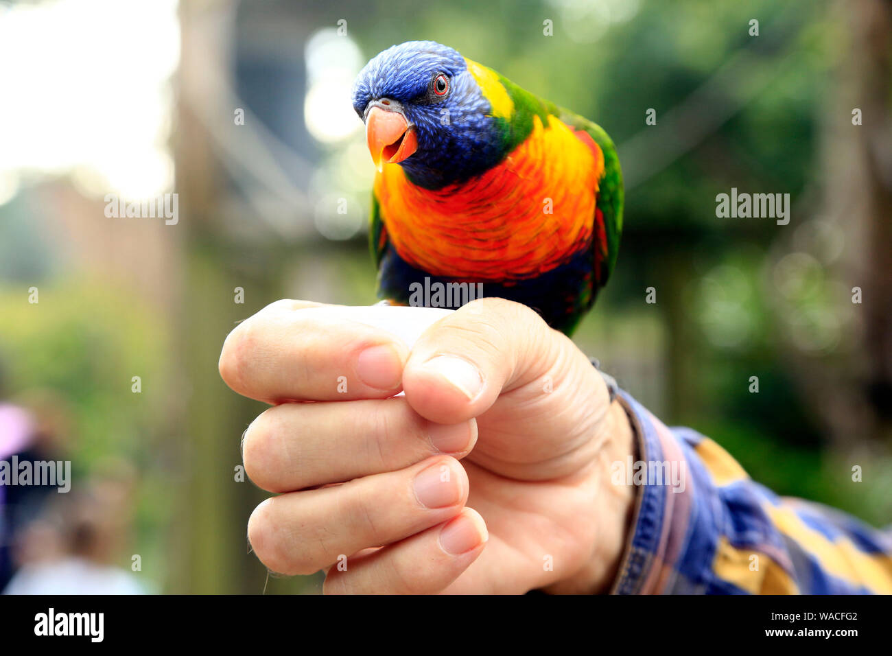 Longleat Safari Park Stock Photo - Alamy