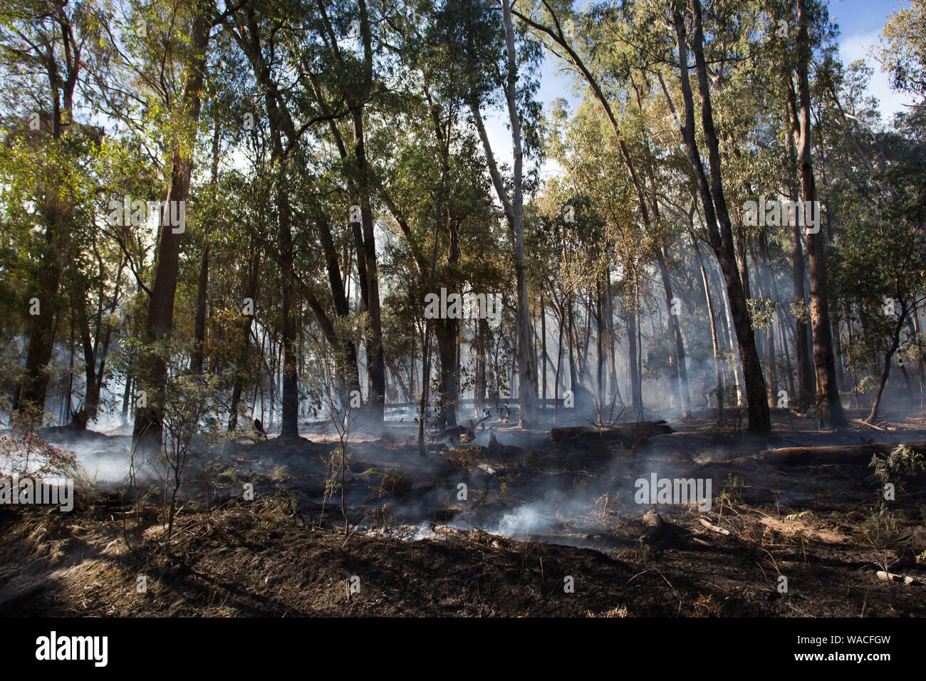 Controlled risk hi-res stock photography and images - Alamy