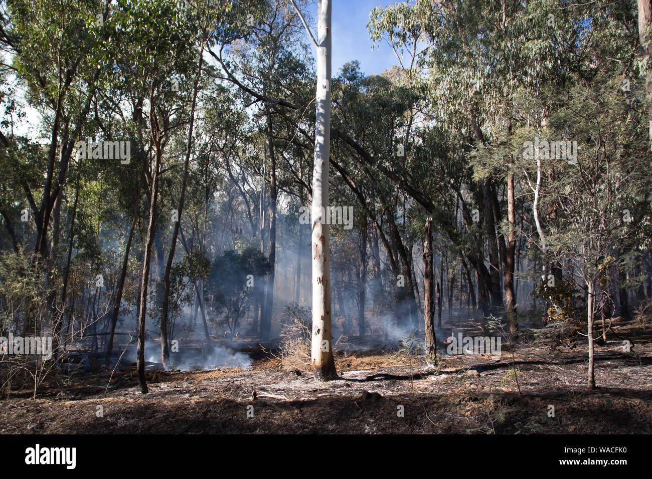 Backburn hi-res stock photography and images - Alamy