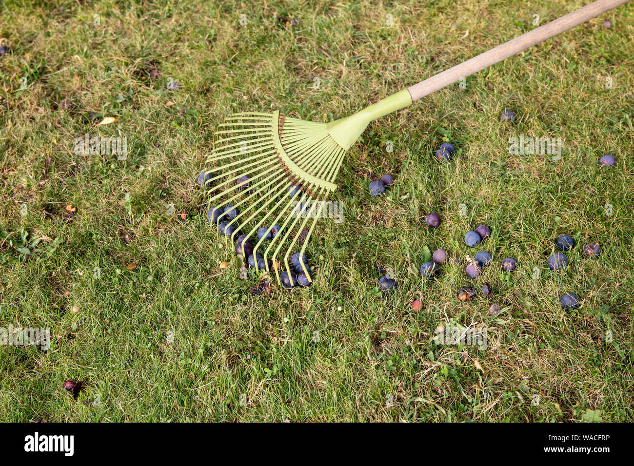 Sweeping garden hi-res stock photography and images - Alamy