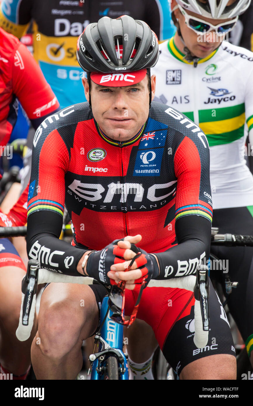 Cadel evans hi-res stock photography and images - Alamy