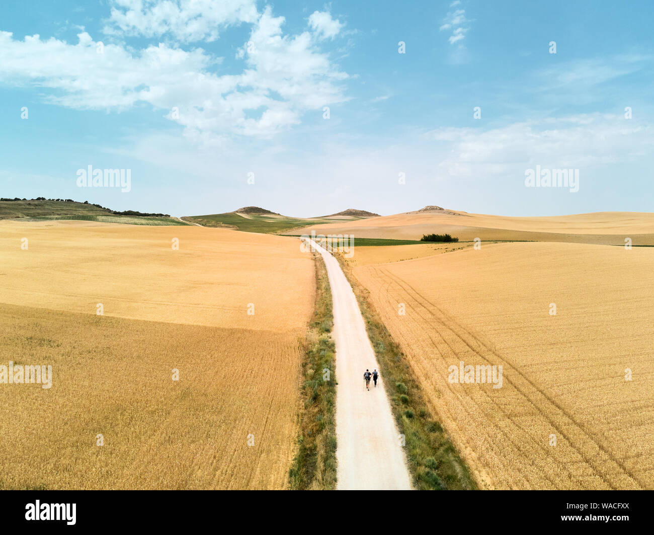 Pilgrims Walking the Camino of Santiago In Spain Countryside Stock ...