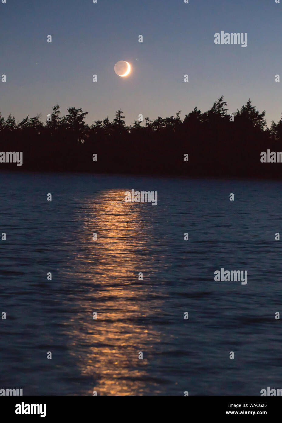 A crescent moon illuminated by the setting sun casts a golden glow over ...