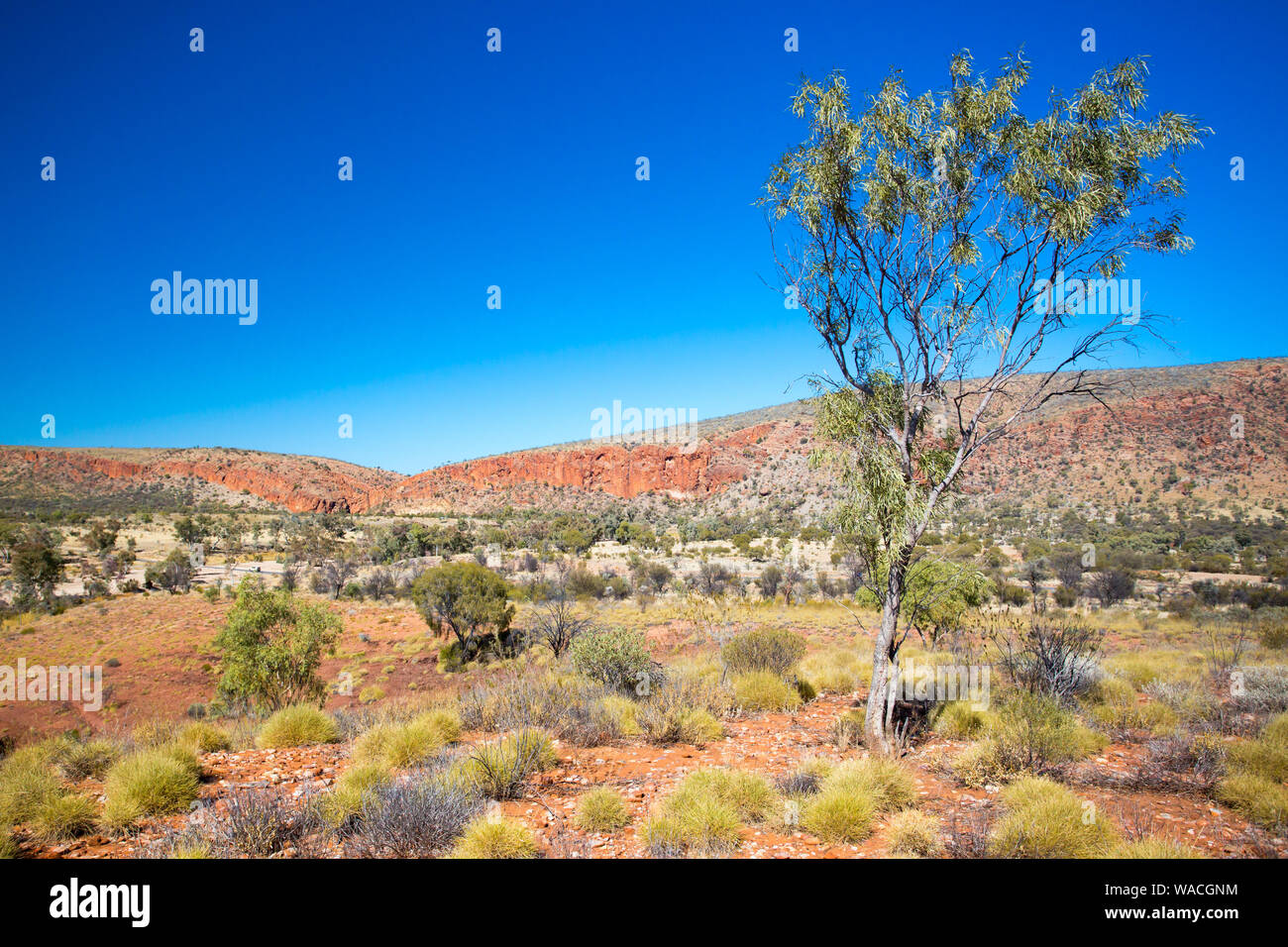 West macdonnell ranges hi-res stock photography and images - Alamy