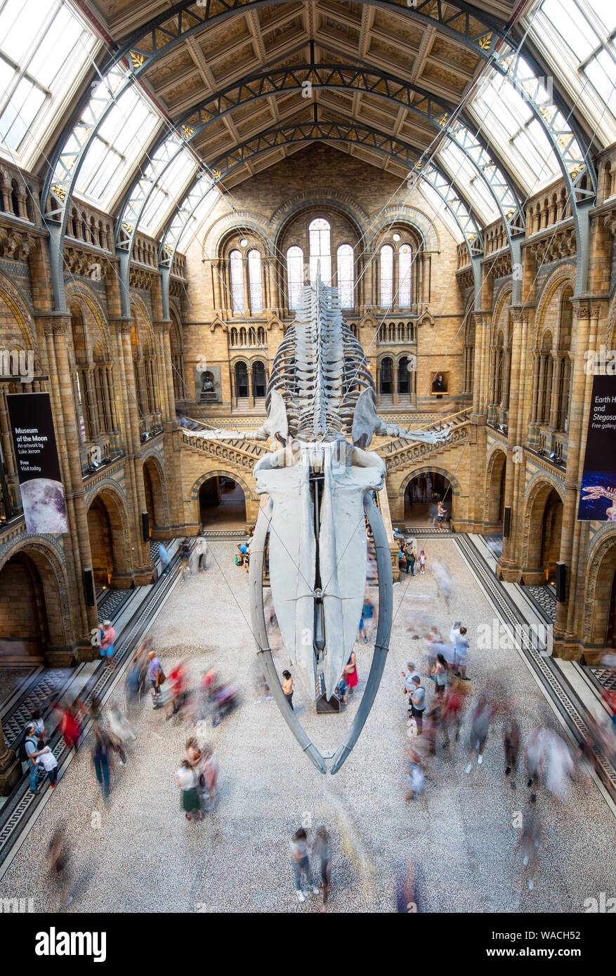 The british museum london crowd hi-res stock photography and images - Alamy