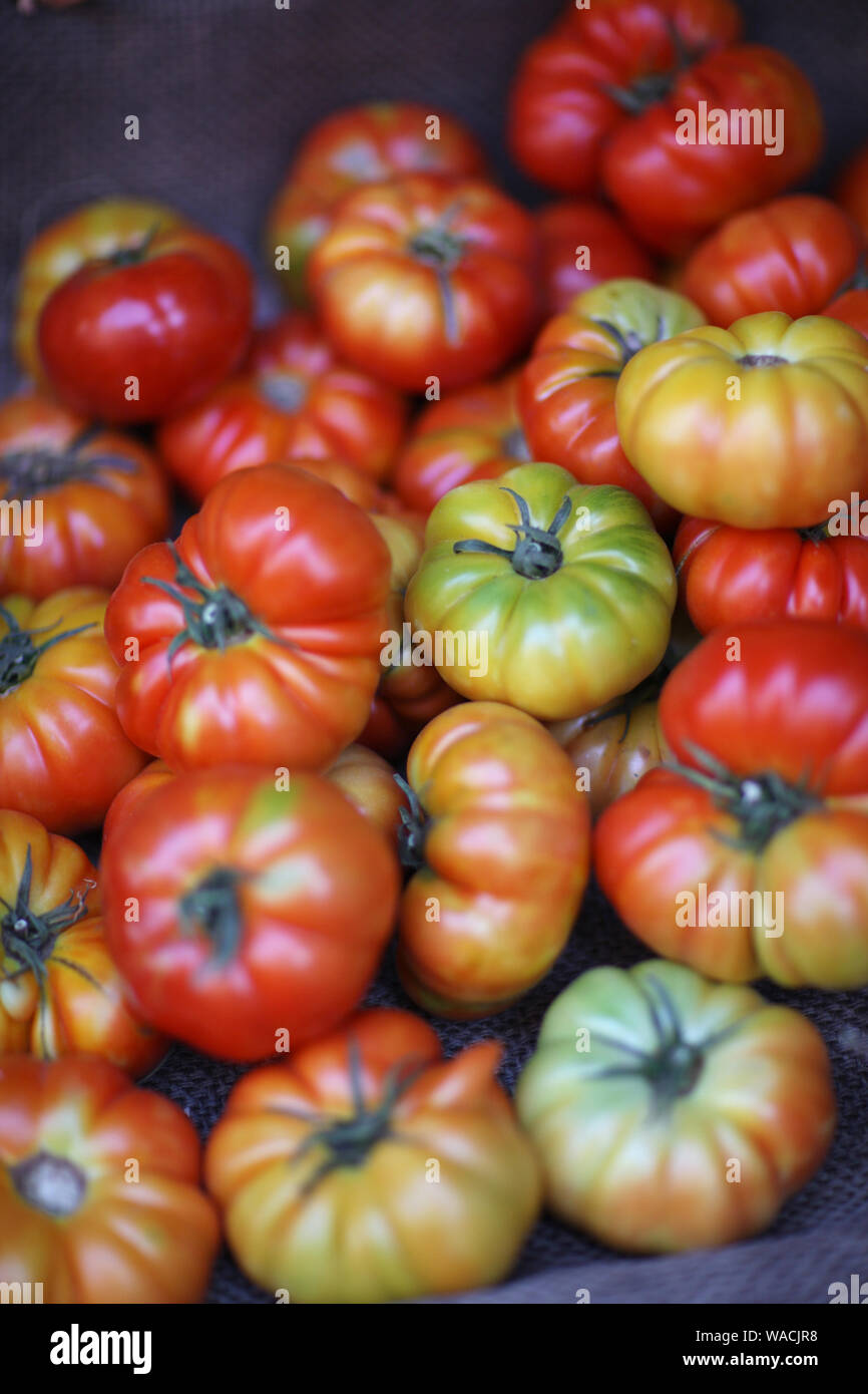 Large tomatoes of different degree of maturity in a box on the counter ...