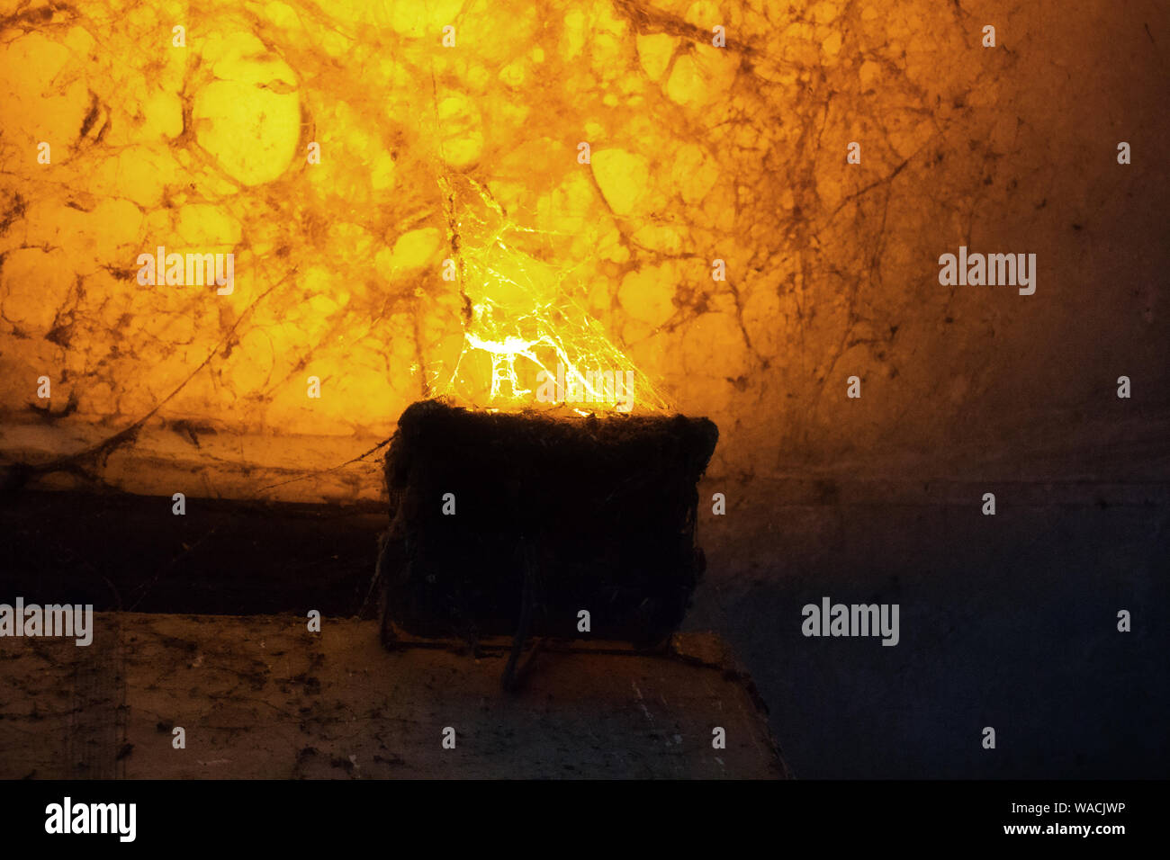 Terrible world of spiders and webs. Scary spider creatures in Halloween ...