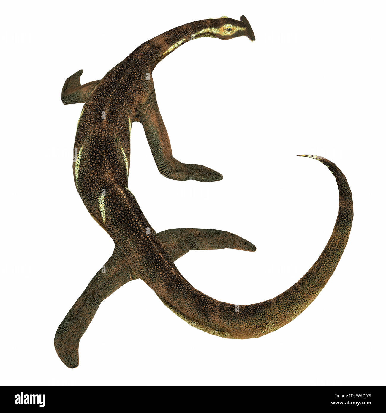 Atopodentatus was a herbivorous semi-aquatic marine reptile that lived ...