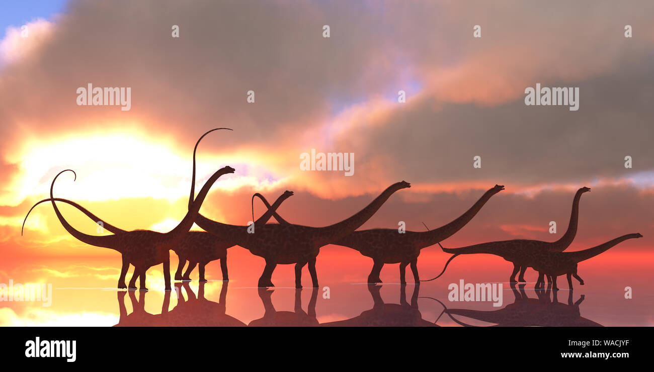 Quadruped sauropod dinosaurs hi-res stock photography and images - Alamy