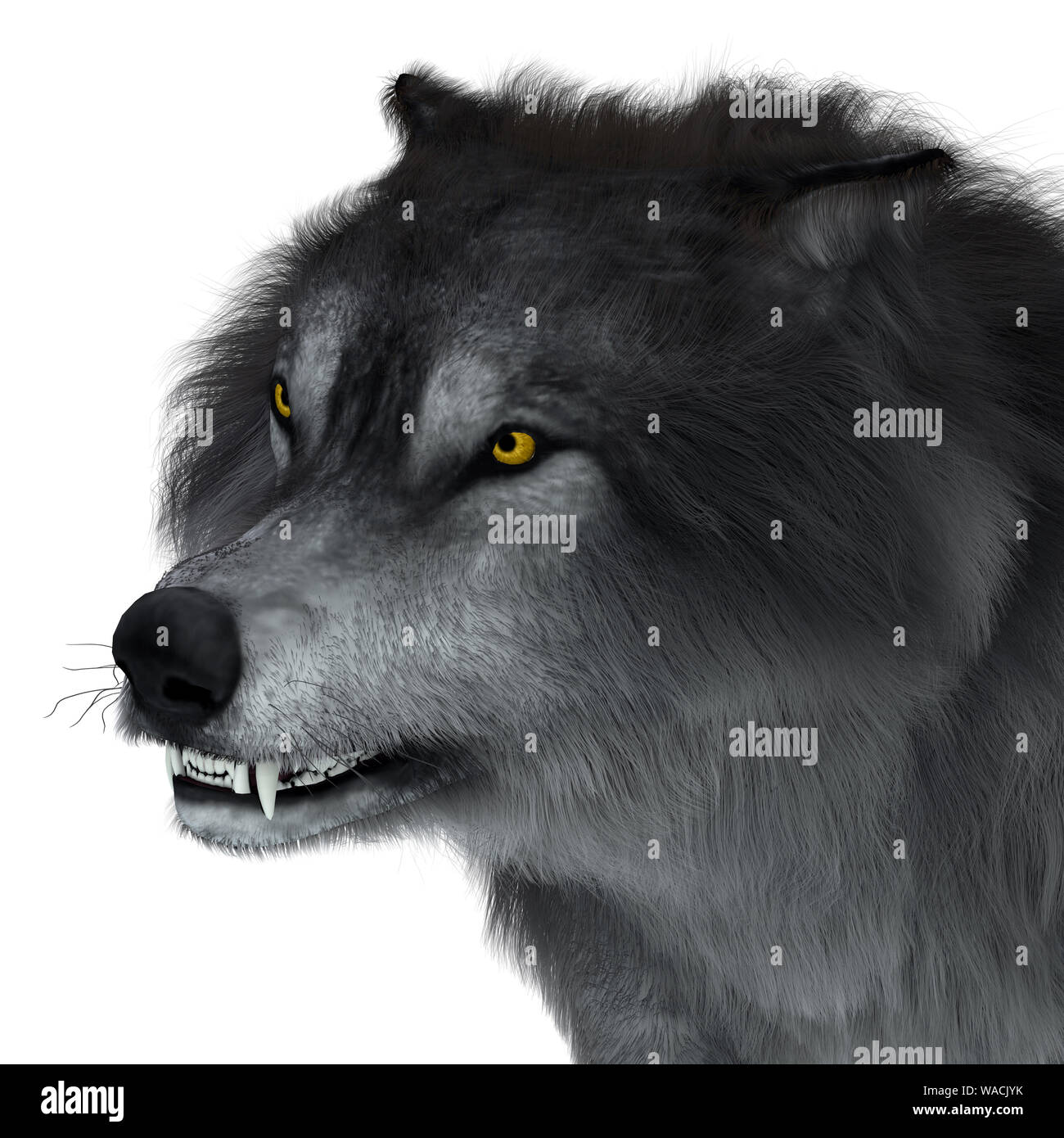 Dire wolf hi-res stock photography and images - Alamy