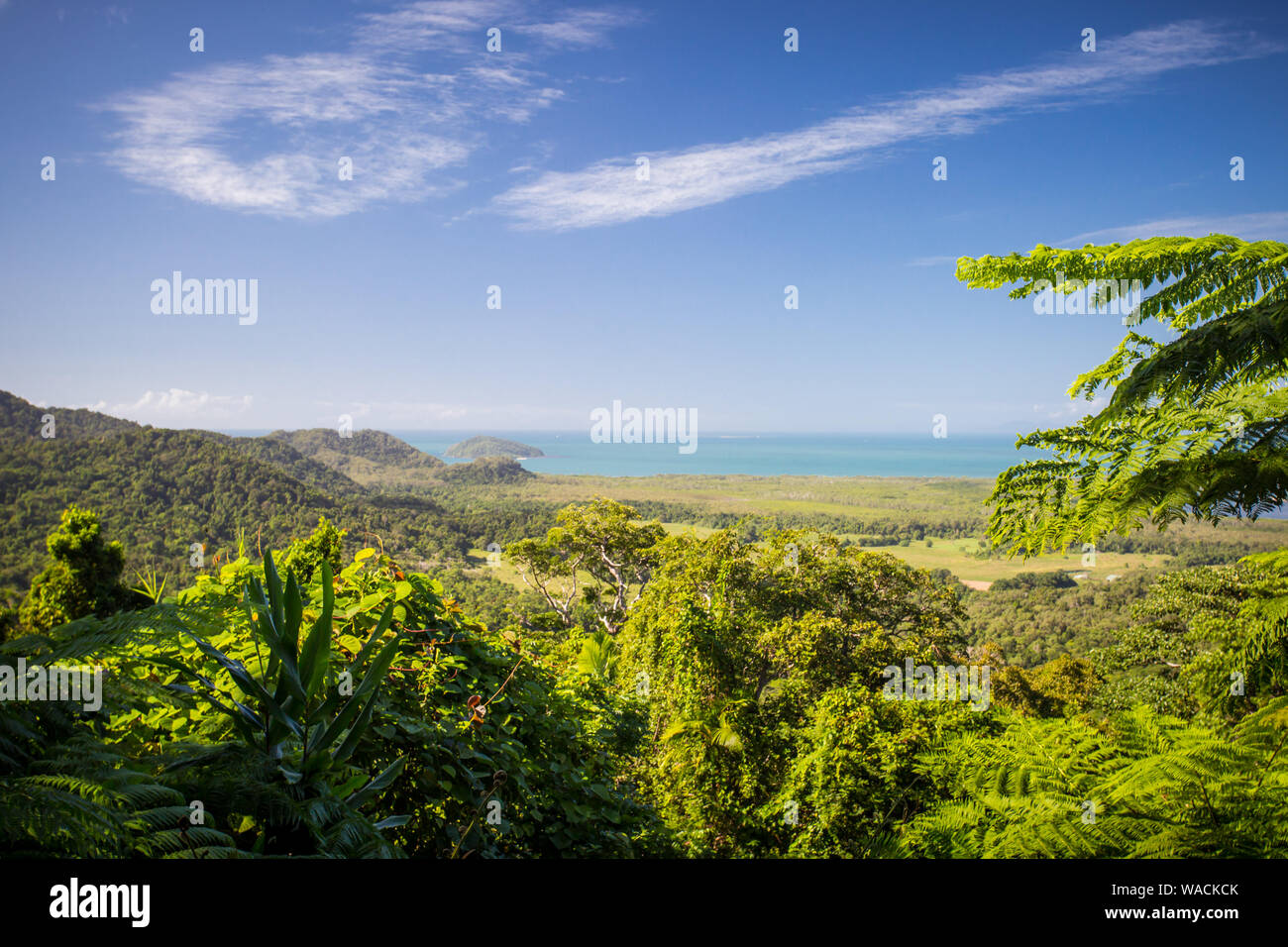 Mount alexandra lookout hi-res stock photography and images - Alamy