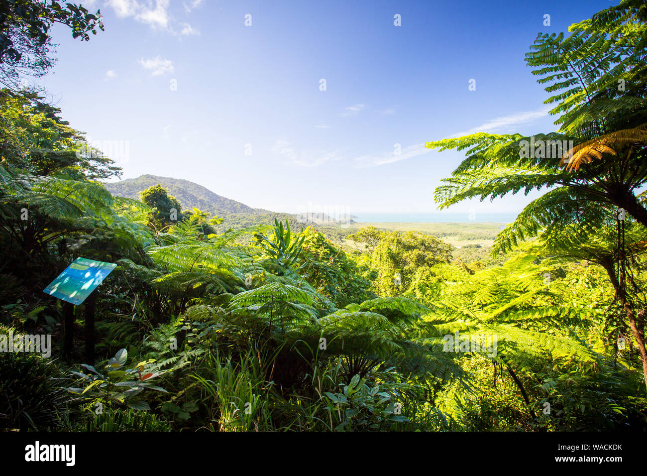 Alexandra lookout hi-res stock photography and images - Alamy