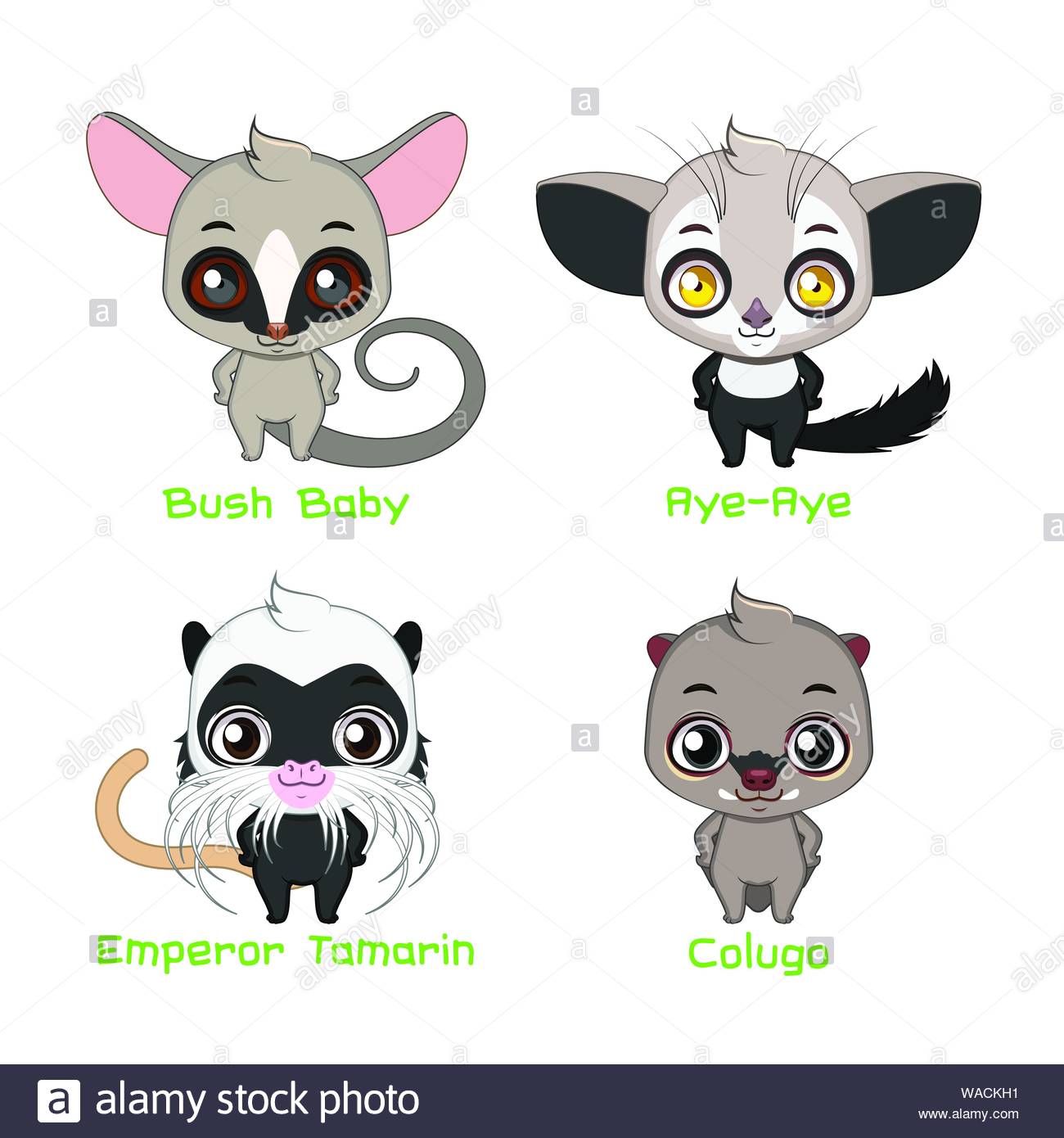 Aye Aye Baby High Resolution Stock Photography and Images - Alamy