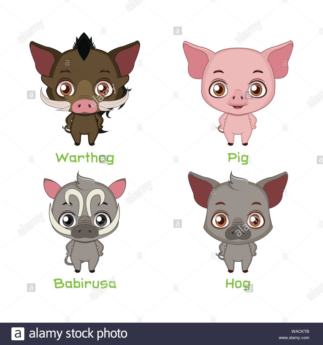 Pig Species Stock Photos & Pig Species Stock Images - Alamy