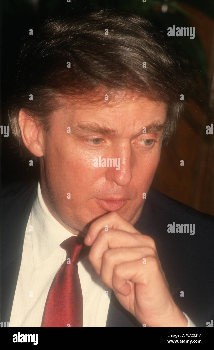 Donald Trump, 1990, Photo By John Barrett/PHOTOlink Stock Photo - Alamy