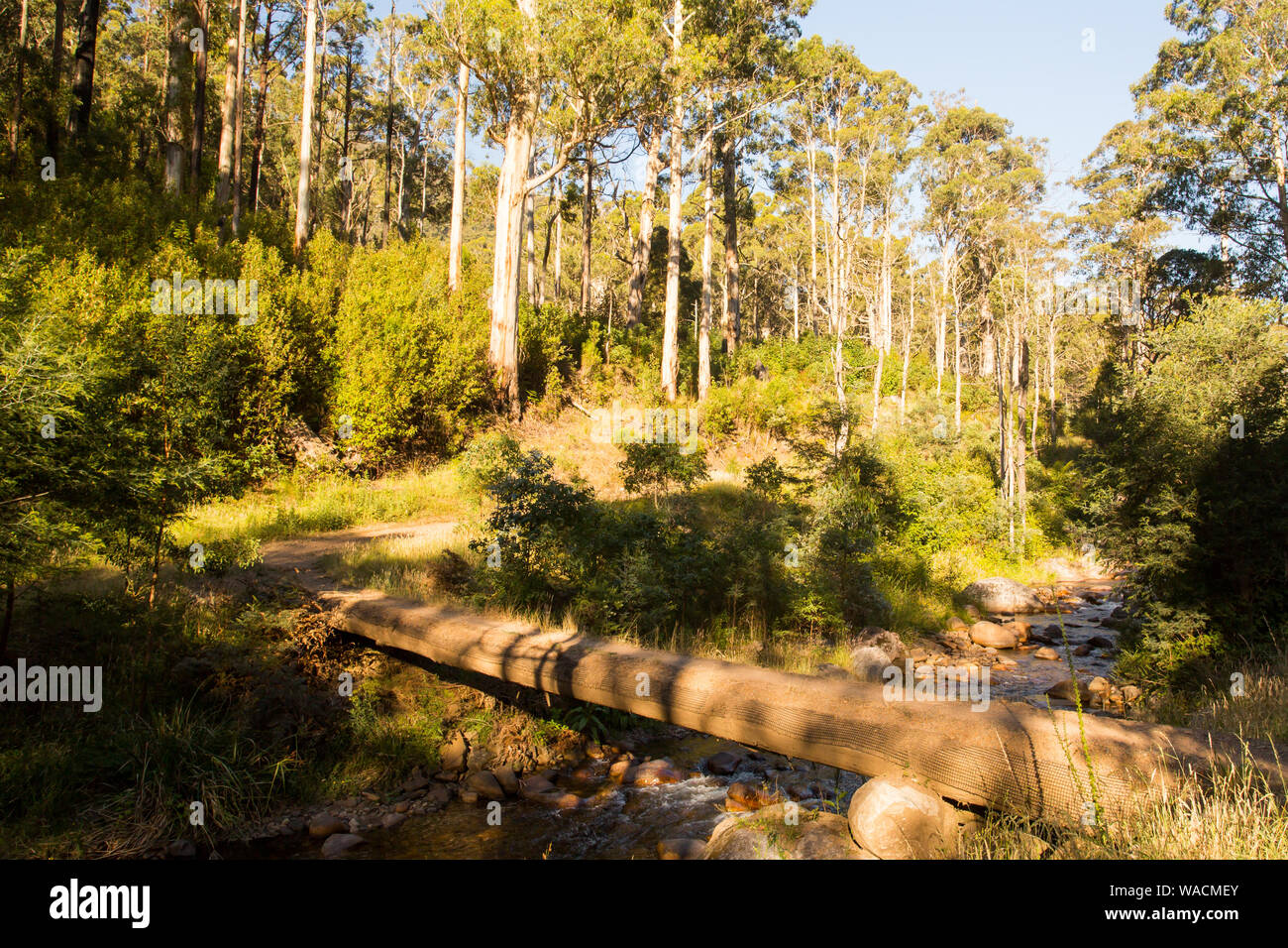 Delatite River Trail at Mt Buller Stock Photo - Alamy