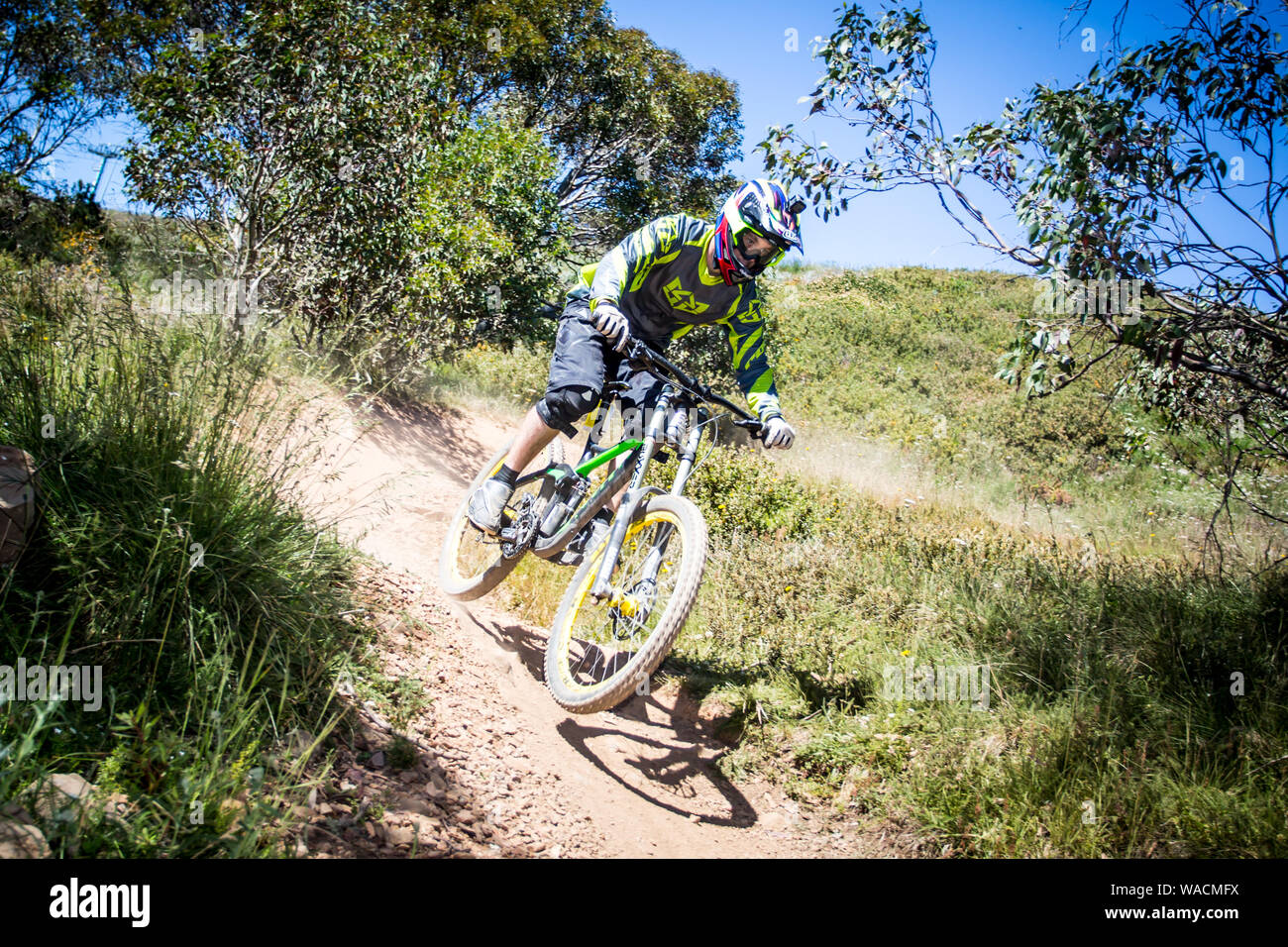 Mountain Bike Riders at Mt Buller Stock Photo - Alamy