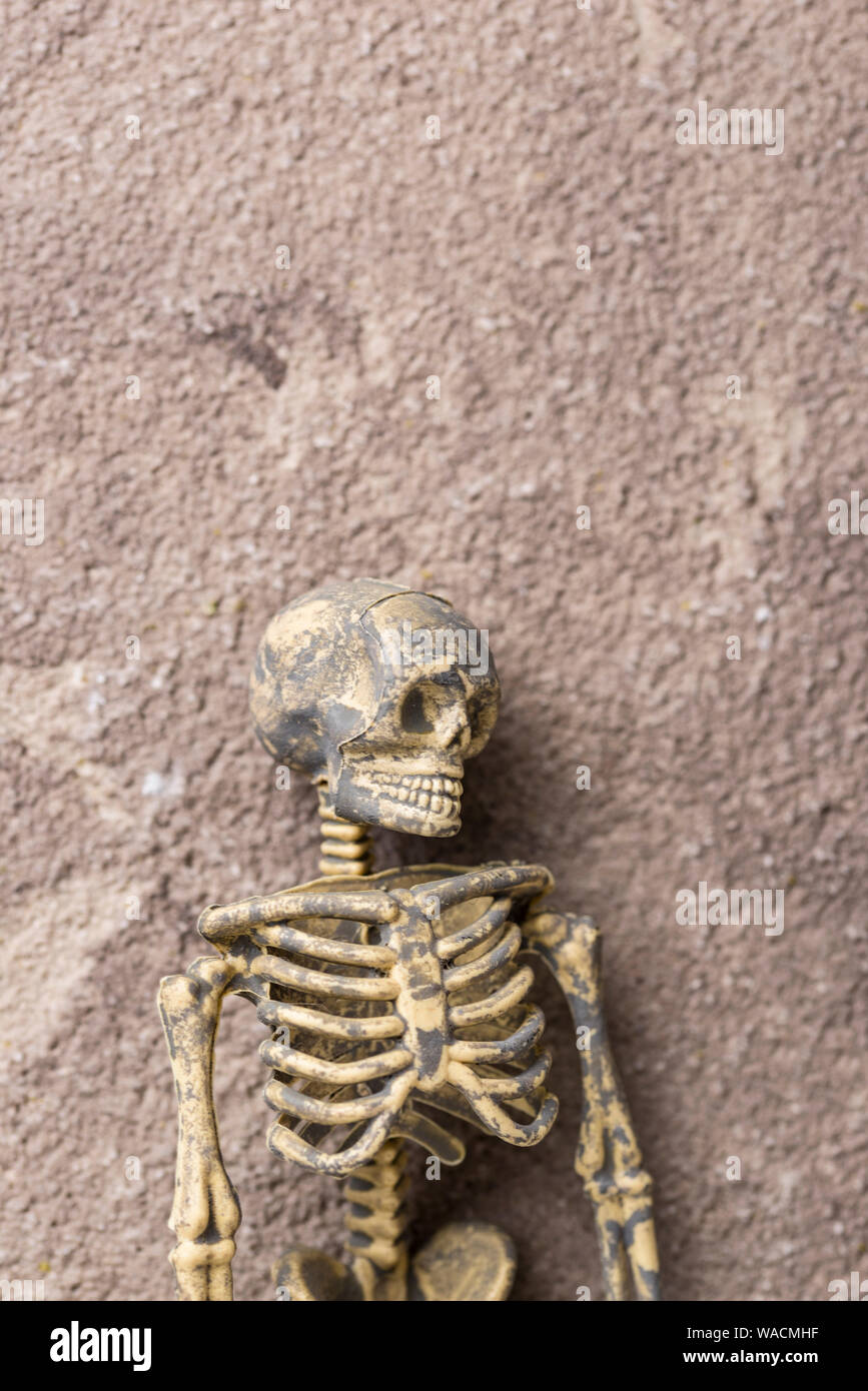 Halloween festive background with skeleton. Top view, space for text ...