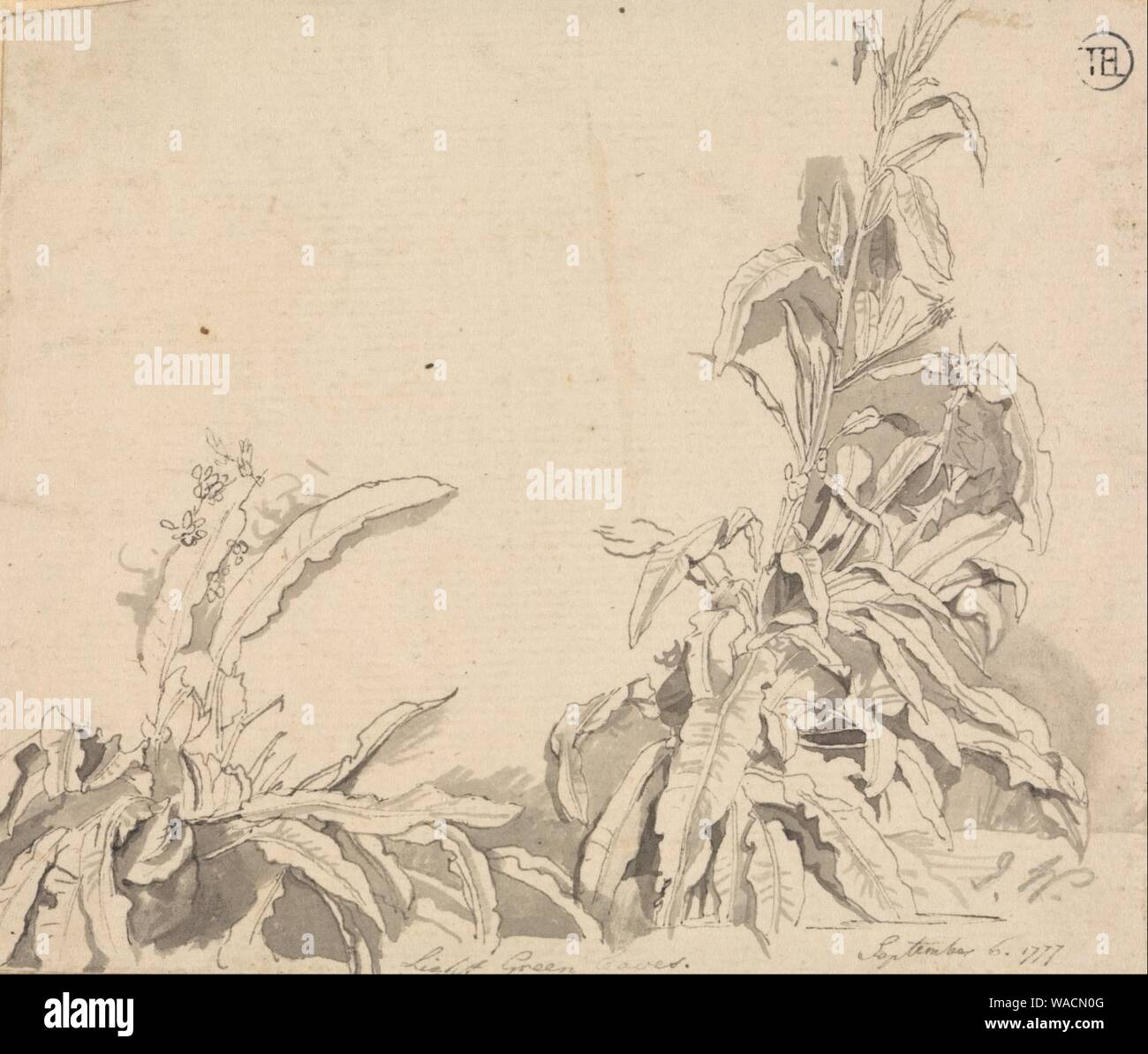 Docks, September 6, 1777 Stock Photo - Alamy