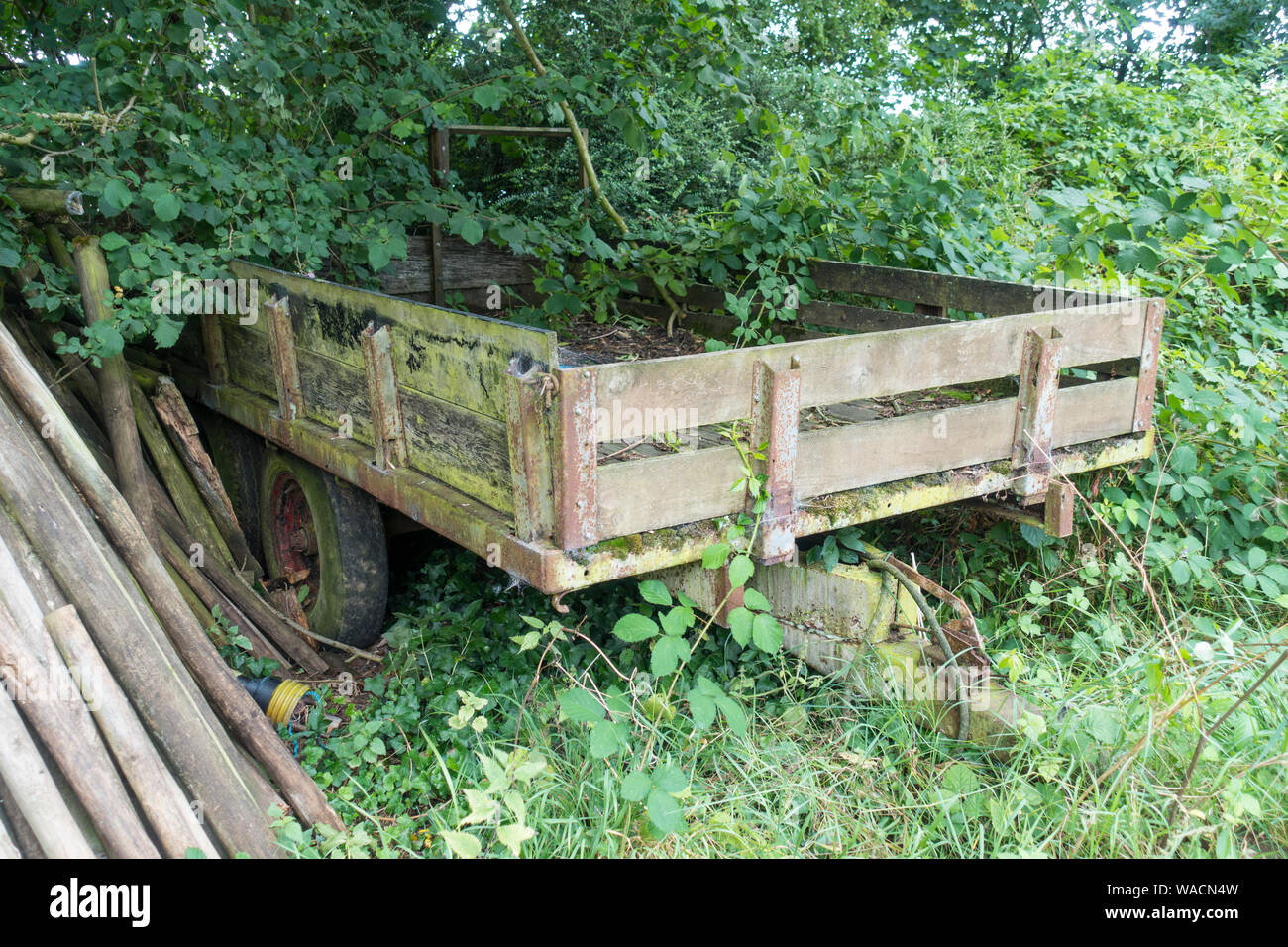 Old trailer left in woods, England, UK Stock Photo - Alamy