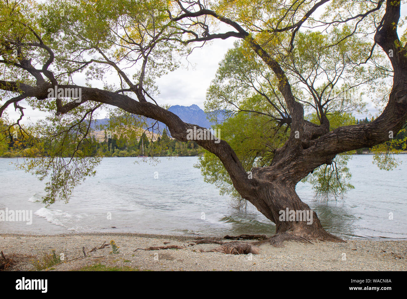 Queenstown bay beach view hi-res stock photography and images - Alamy