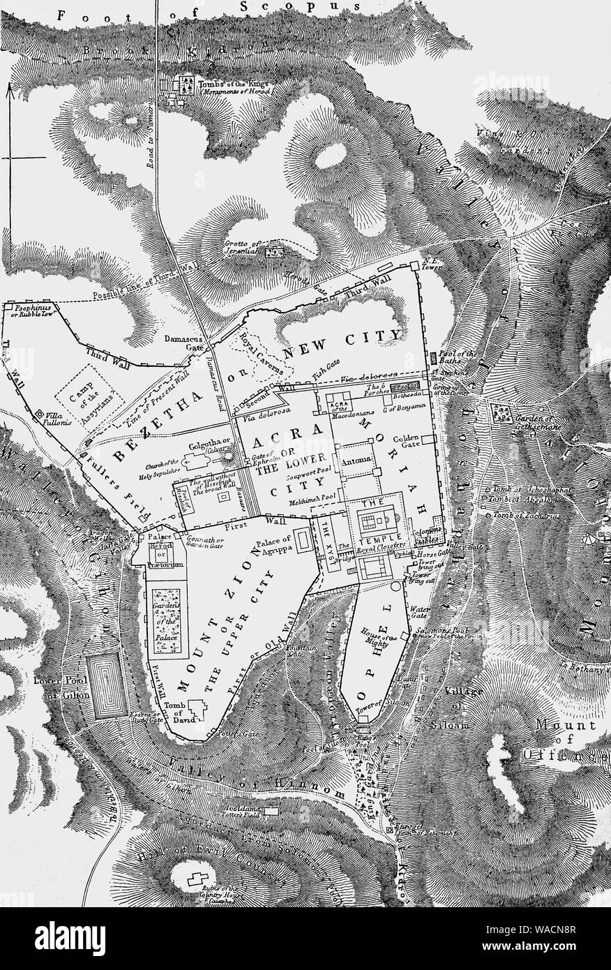 Caeasarea hi-res stock photography and images - Alamy