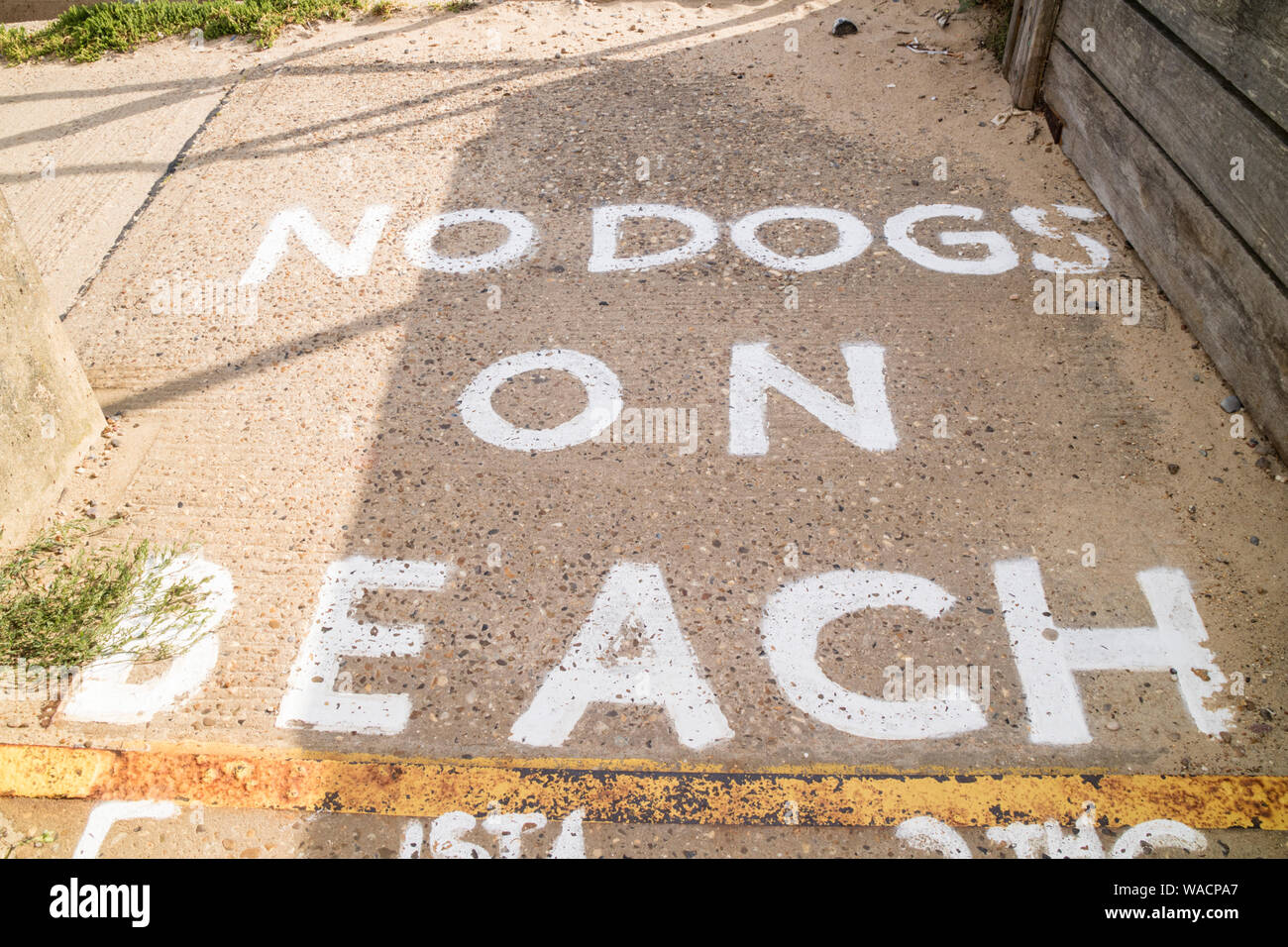 No dogs allowed signs hi-res stock photography and images - Alamy