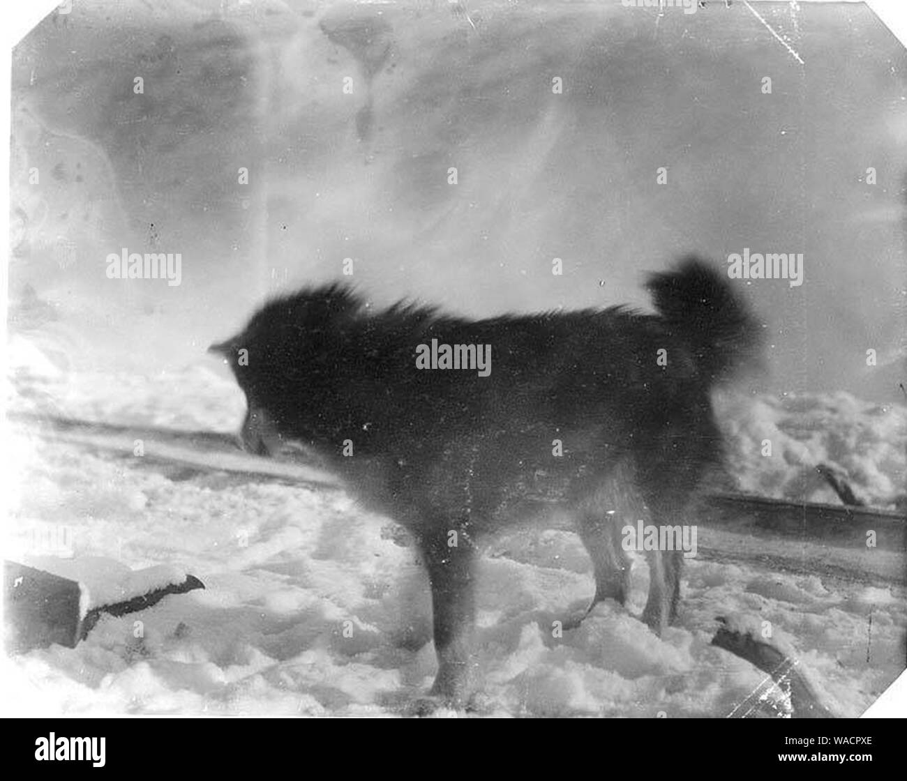 Named reference Black and White Stock Photos & Images - Alamy