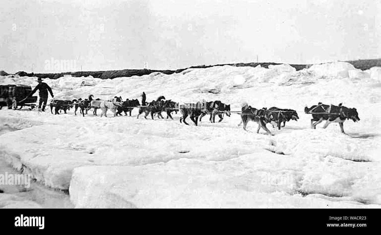 Archival dog sled team hi-res stock photography and images - Alamy