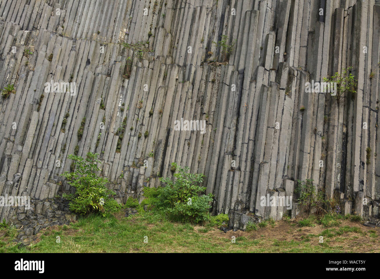 Columnar structure hi-res stock photography and images - Alamy