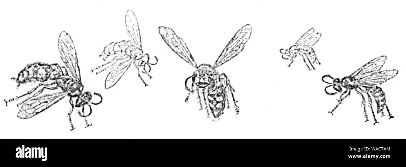 P152 Black and White Stock Photos & Images - Alamy