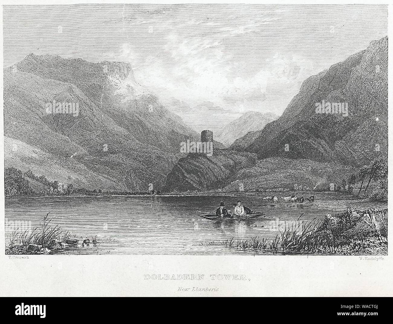 Dolbadern tower hi-res stock photography and images - Alamy