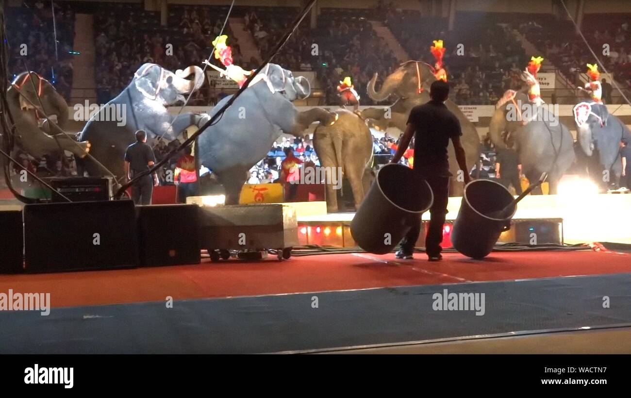 THE CIRCUS: DOWN THE ROAD, the elephant parade at the Carson & Barnes ...