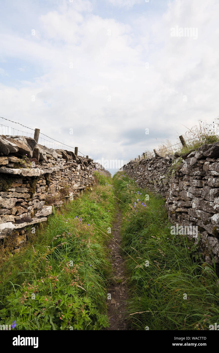 Walled footpath hi-res stock photography and images - Alamy