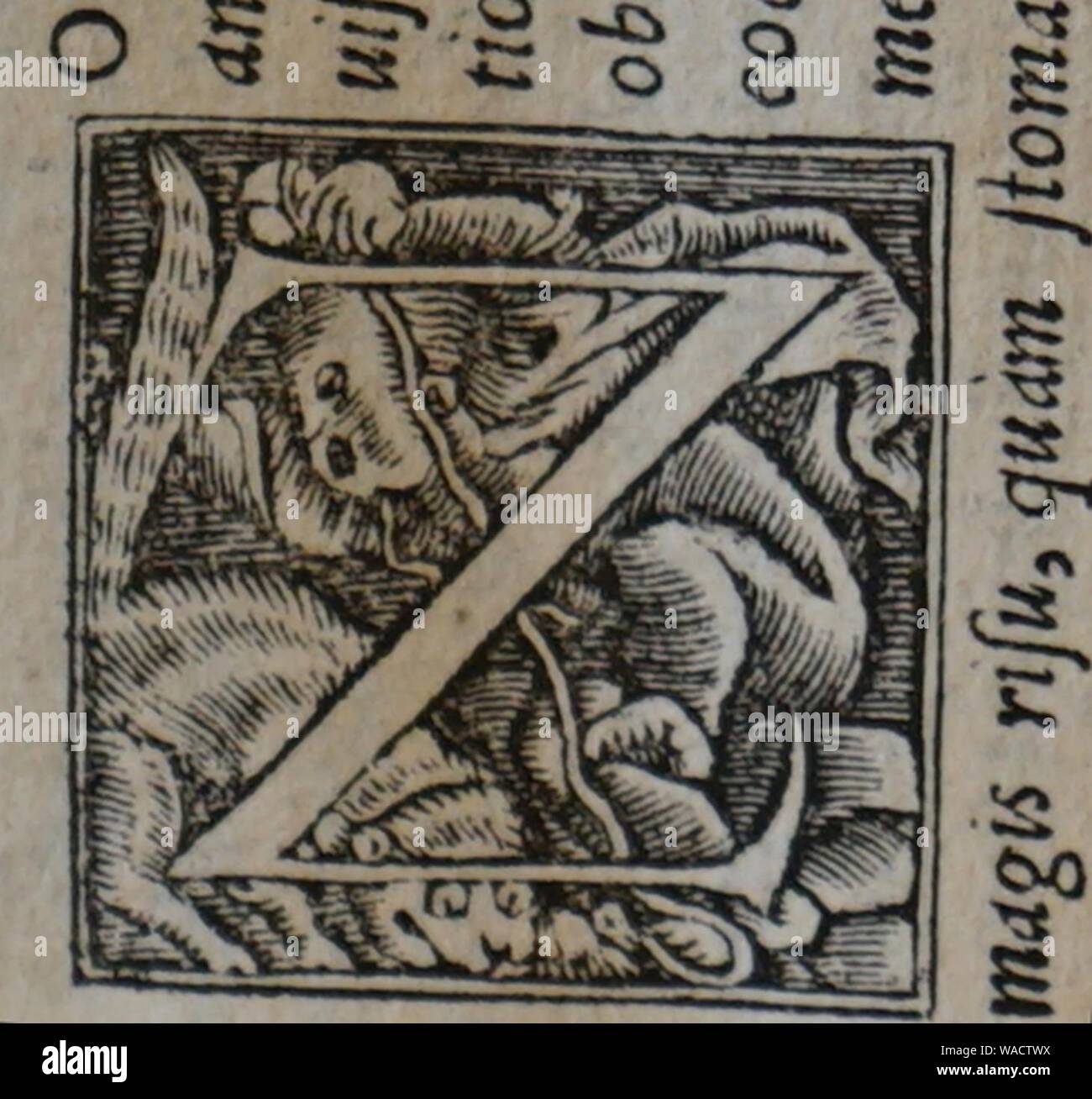 Dolet High Resolution Stock Photography and Images - Alamy