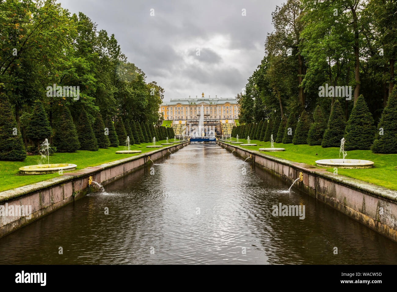 Canal and water fountains bordered by conical evergreen trees, Peterhof ...
