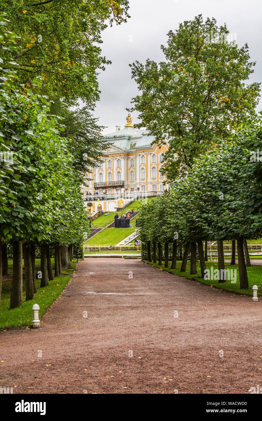 Deciduous tree lined alley at Peterhof Palace grounds and gardens in ...
