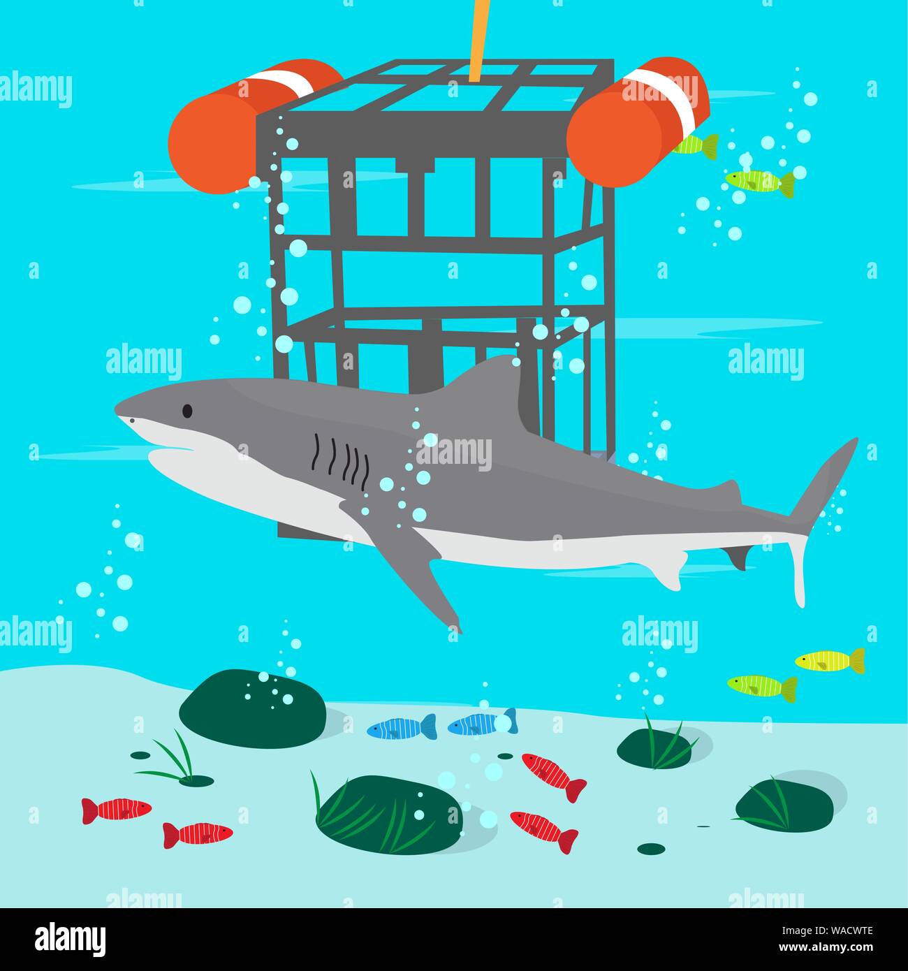 Shark cage diving with a shark. Scuba diving concept - Vector Stock ...