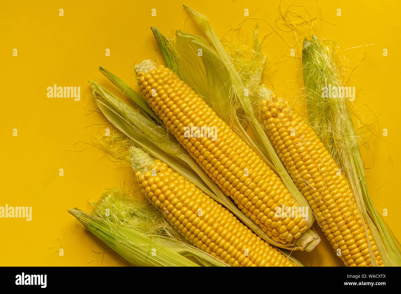 top view set of raw fresh corns with skin on color surface Stock Photo ...