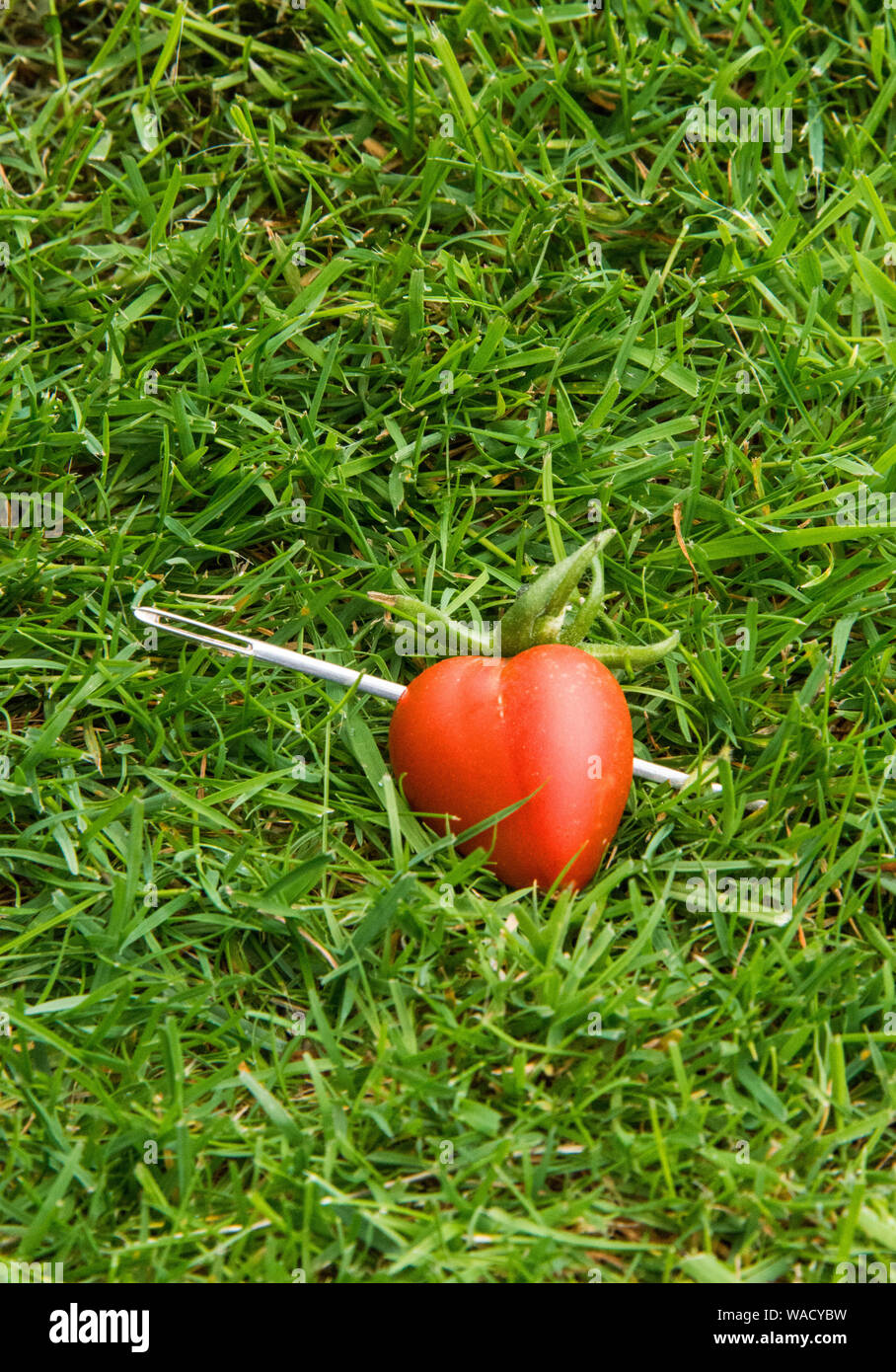 Pierced heart shaped tomato Stock Photo - Alamy