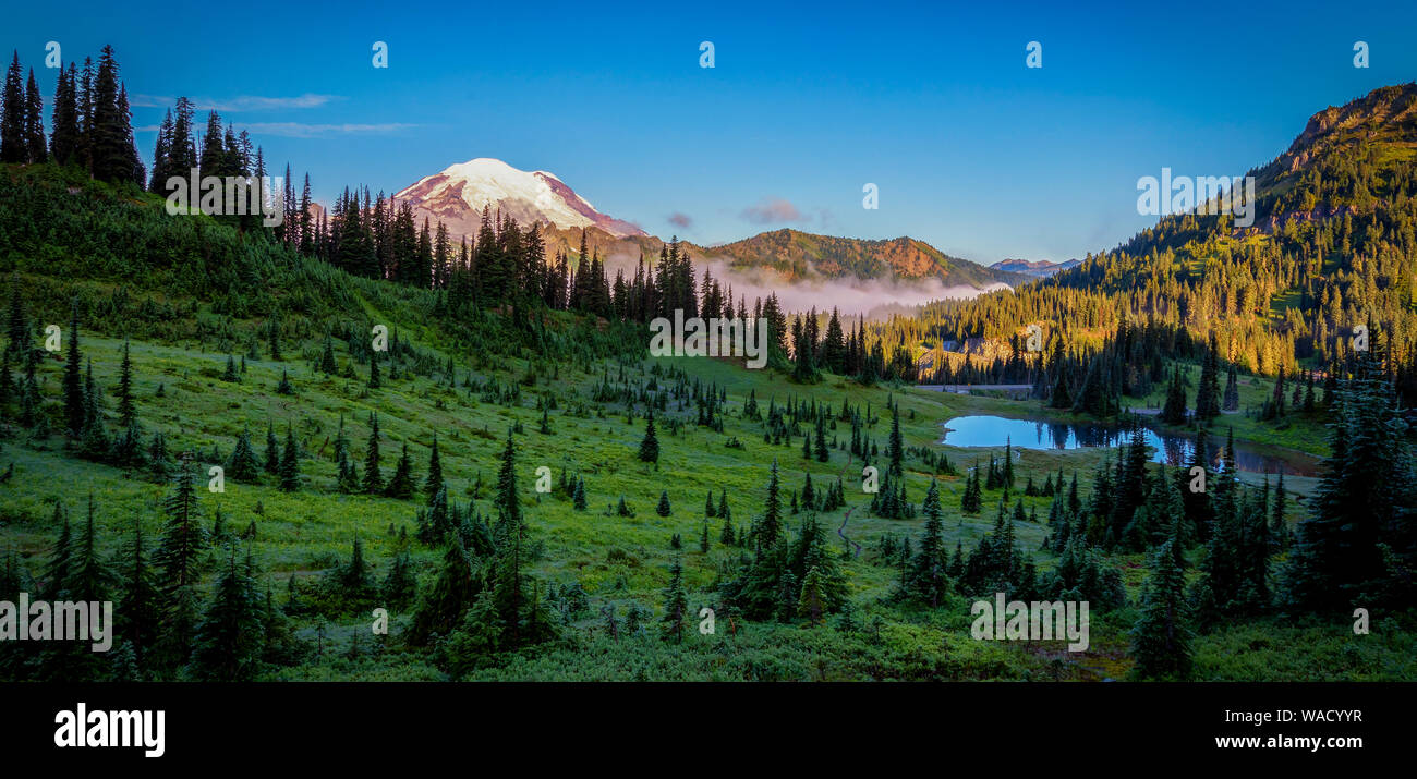 Mt rainier and Tipsoo lake seen from Naches loop trail, Mt Rainier ...