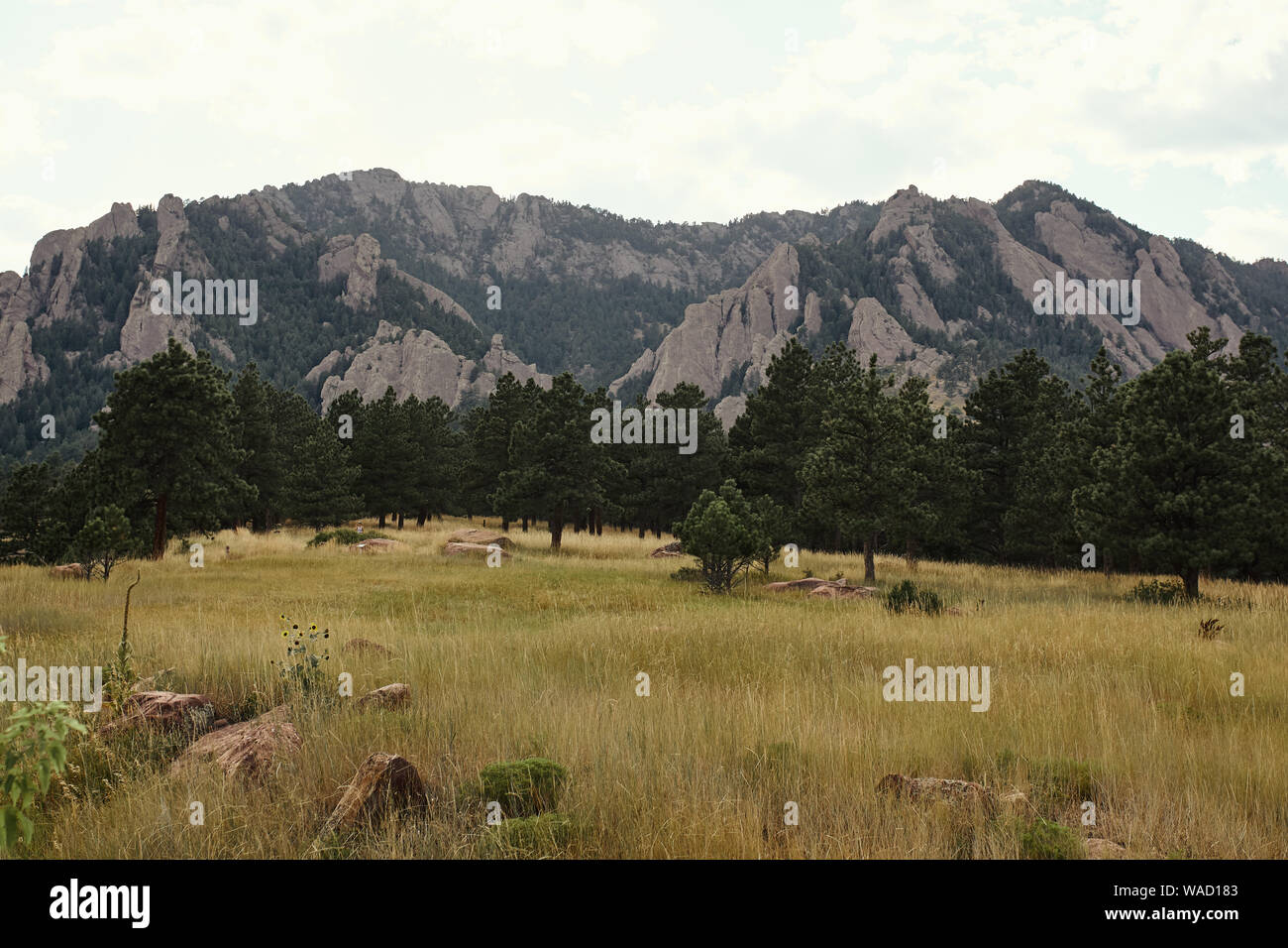 Foothills and Rocky Mountains at NCAR Trail head, National Center For ...
