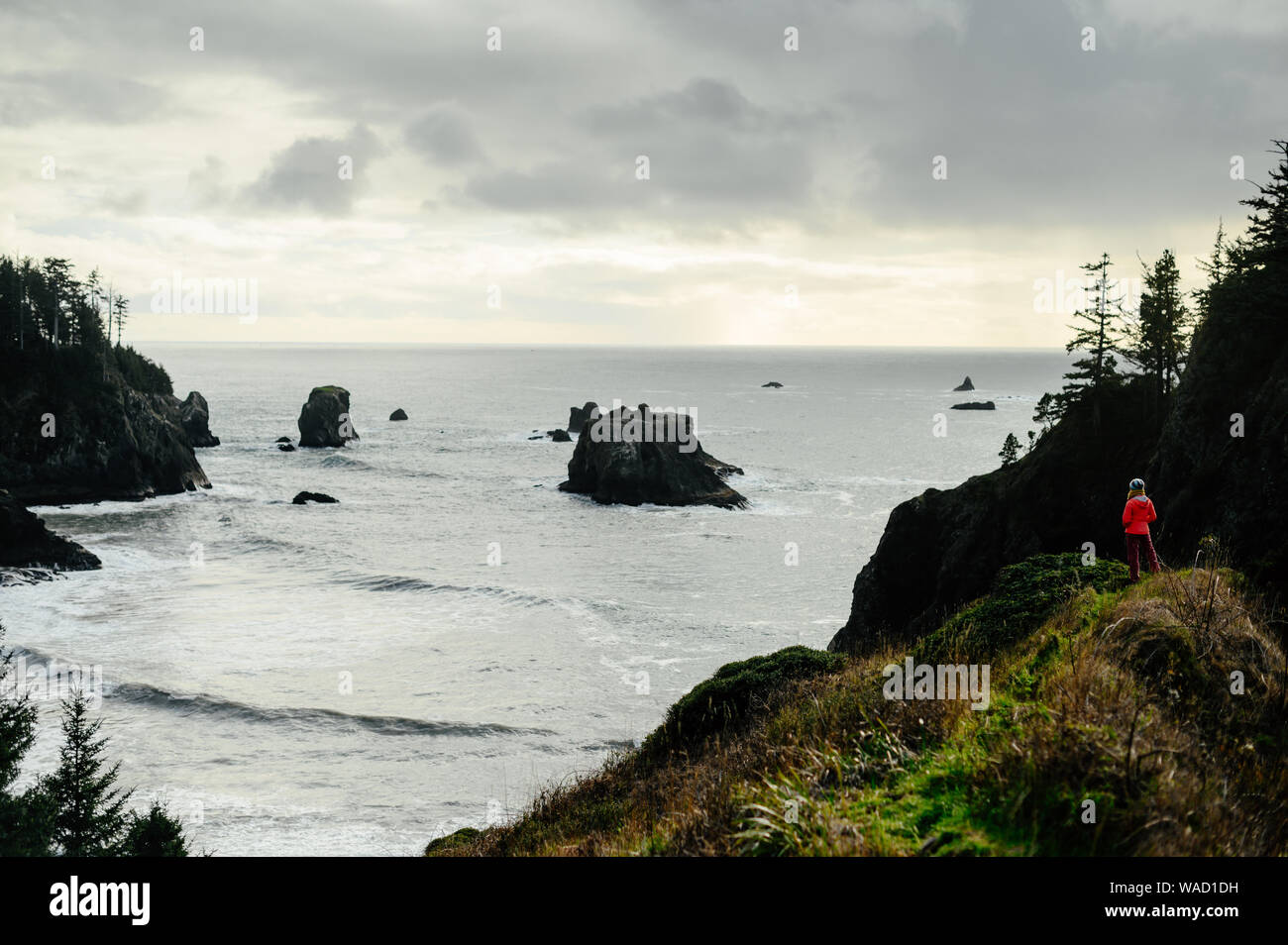 Secret Beach, Samuel H Boardman Scenic Corridor Stock Photo - Alamy
