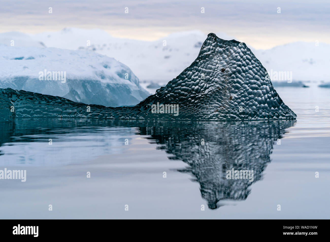 a piece of translucent ice like glass, floats on the ocean Stock Photo ...