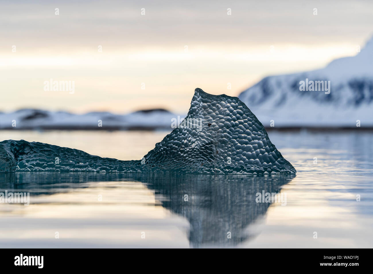 a piece of translucent ice like glass, floats on the ocean Stock Photo ...