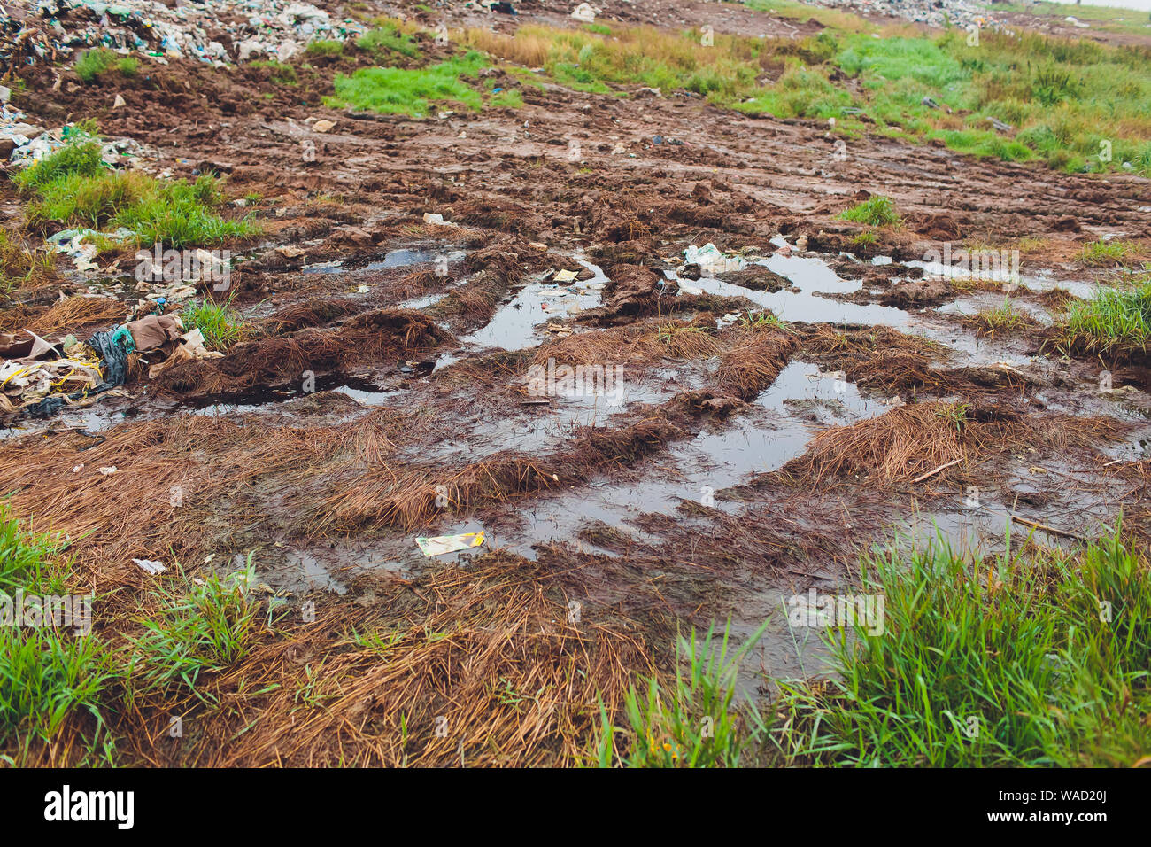 Black water and pollution at the river cause from waste by the factory ...